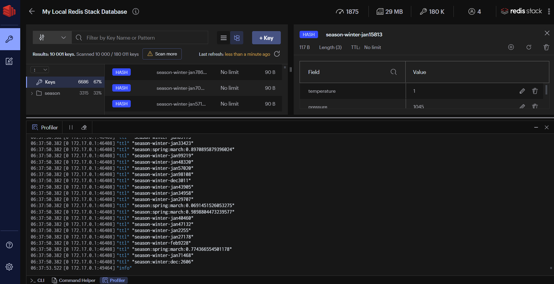 Redis Insight | Docs